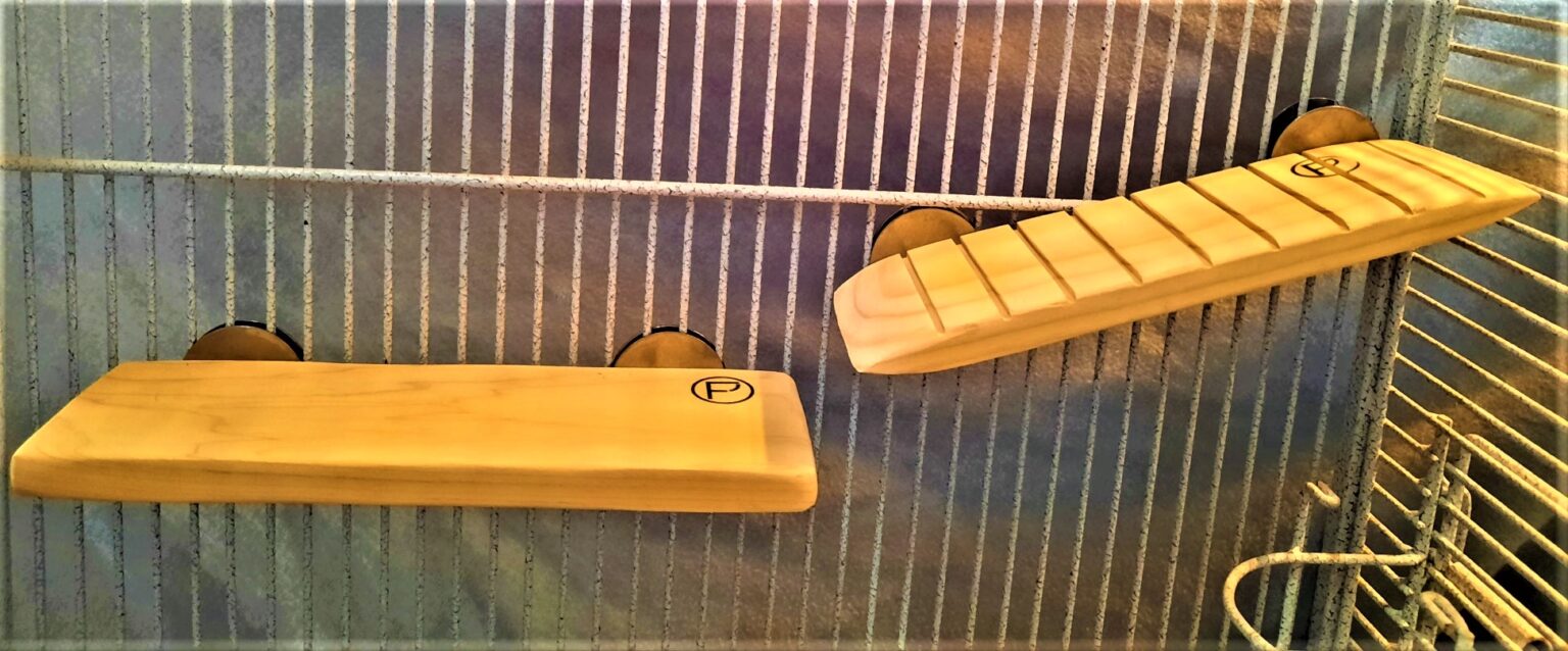 Flat Perch Shelf 4 x 11 Lovebirds Cockatiels Parakeets Conures - Flat Perch